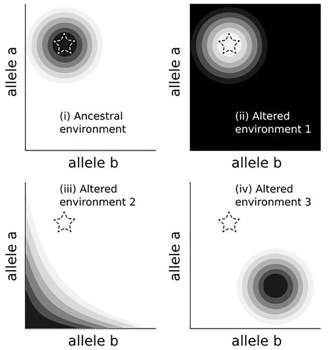 24. Evolutionary mismatch. I. Possible connection to gambling ...