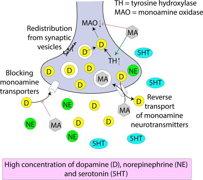 45. Methamphetamine – Addictions and Recovery